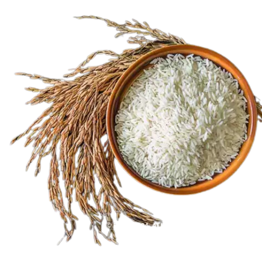 Basmati Rice Archives - Pure Spices Wagga