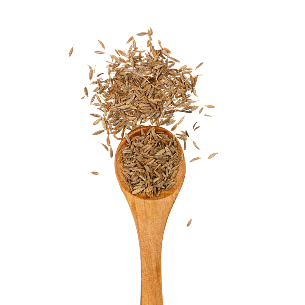 The Spice Factory Cumin Seeds - Pure Spices